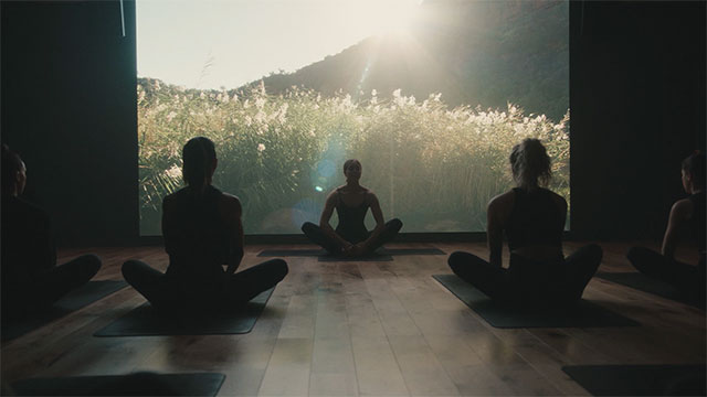 Best 10 yoga classes in London - Things to Do - visitlondon.com
